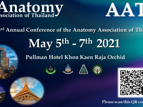 สมาคมกายวิภาคศาสตร์ แห่งประเทศไทย Anatomy Association of Thailand ...